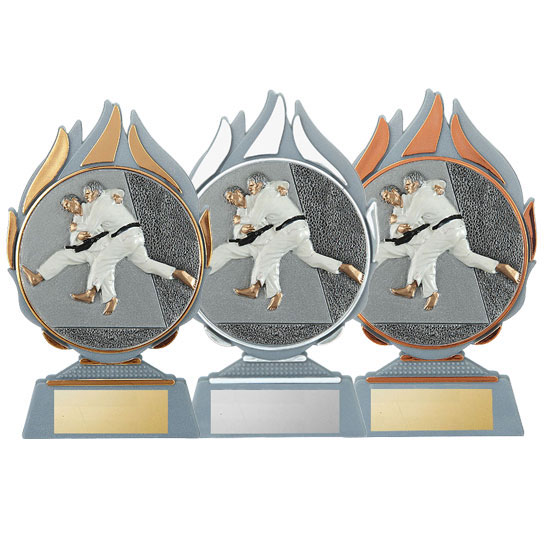 Q120-Judo Trophy with 70mm diameter centre - just £3.99Q120-Judo Trophy with 70mm diameter ...