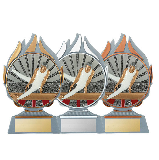 Q120-Male Gymnastics Trophy with 70mm diameter centre - just £3.99Q120-Male Gymnastics Trophy ...